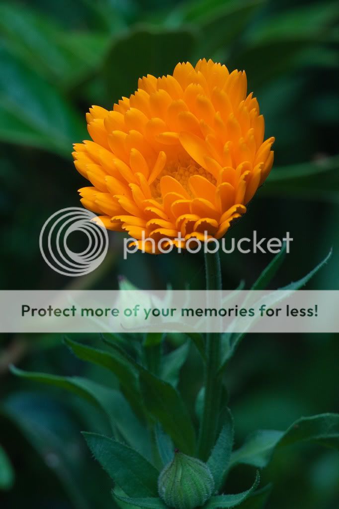 September Newsletter